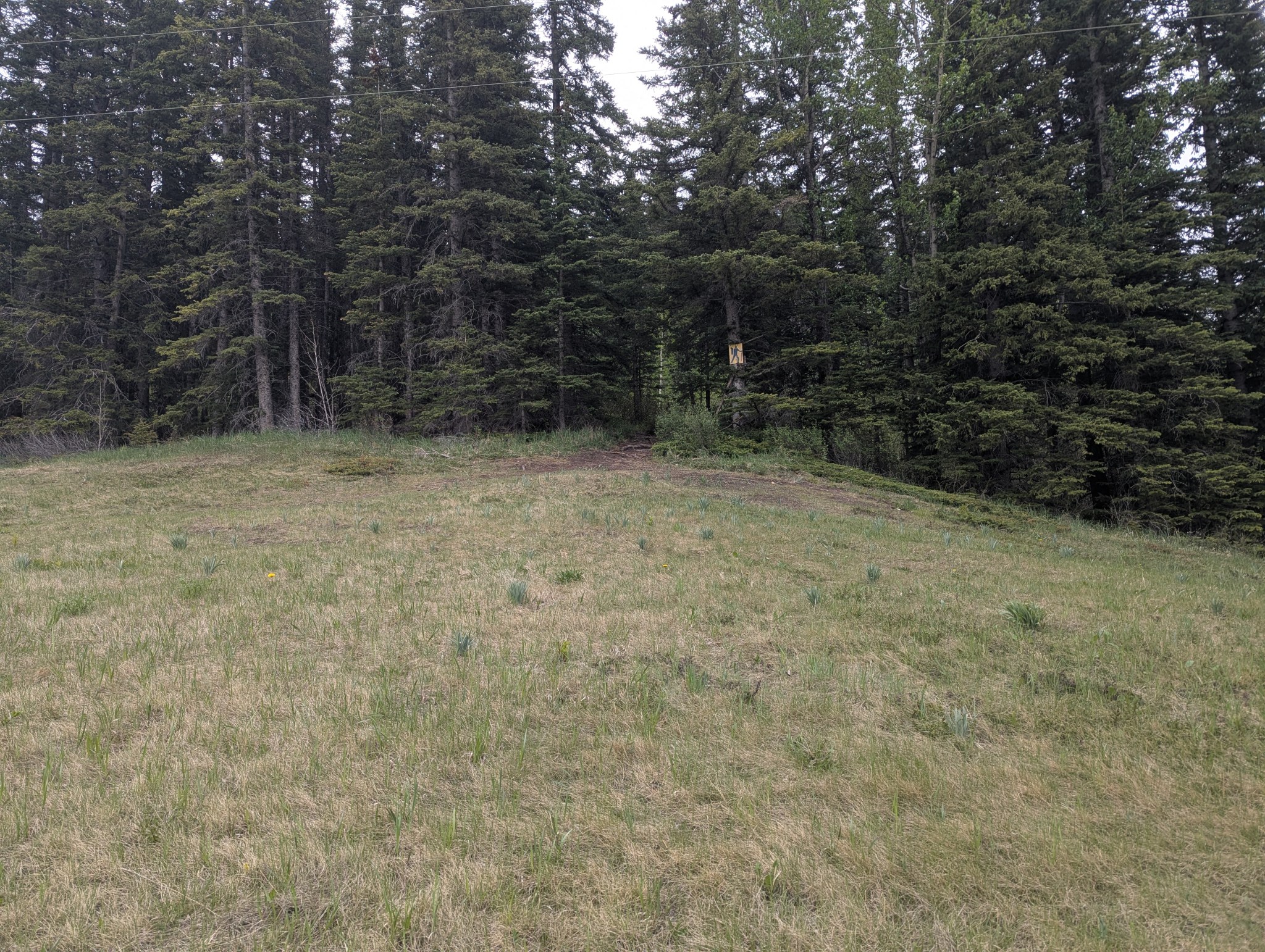 Folding Mountain (2117 m) – Peak Bliss